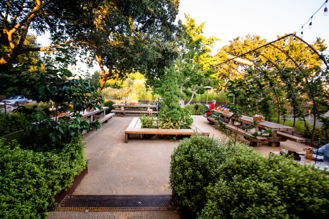 Sonoma Dog Friendly Restaurants | The JetSetting Fashionista