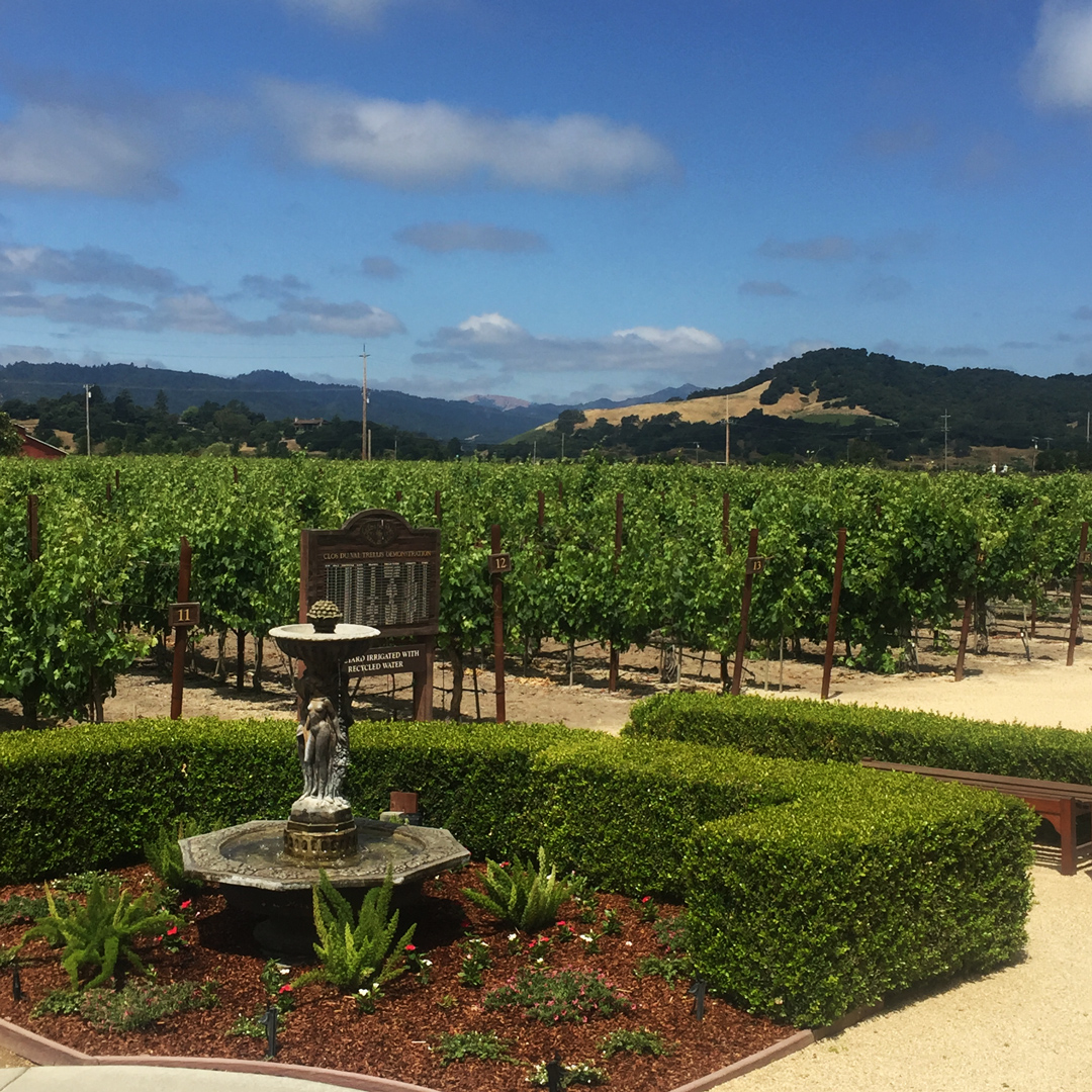 Napa Winery Clos du Val's Unique Cabana Wine Tasting Experience | The ...