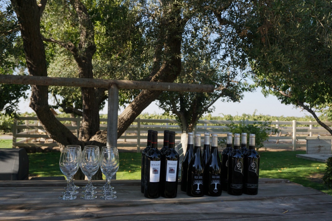 Wine Bloggers Conference Visit to Oak Ridge Winery