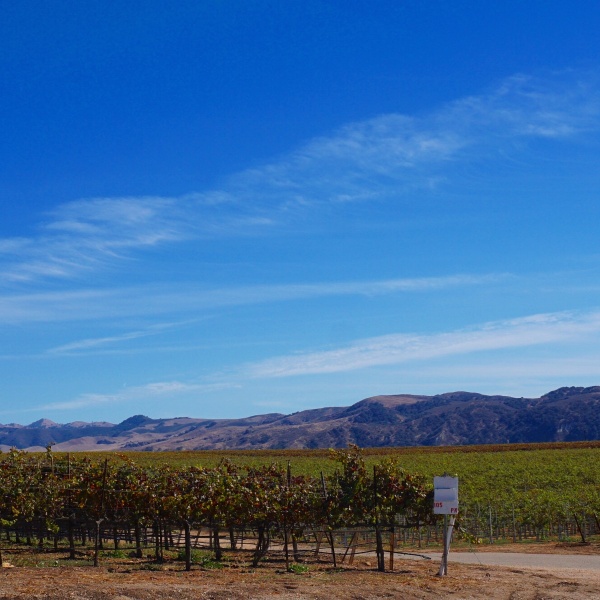 Winery Tour with Byron Winemaker Jonathan Nagy