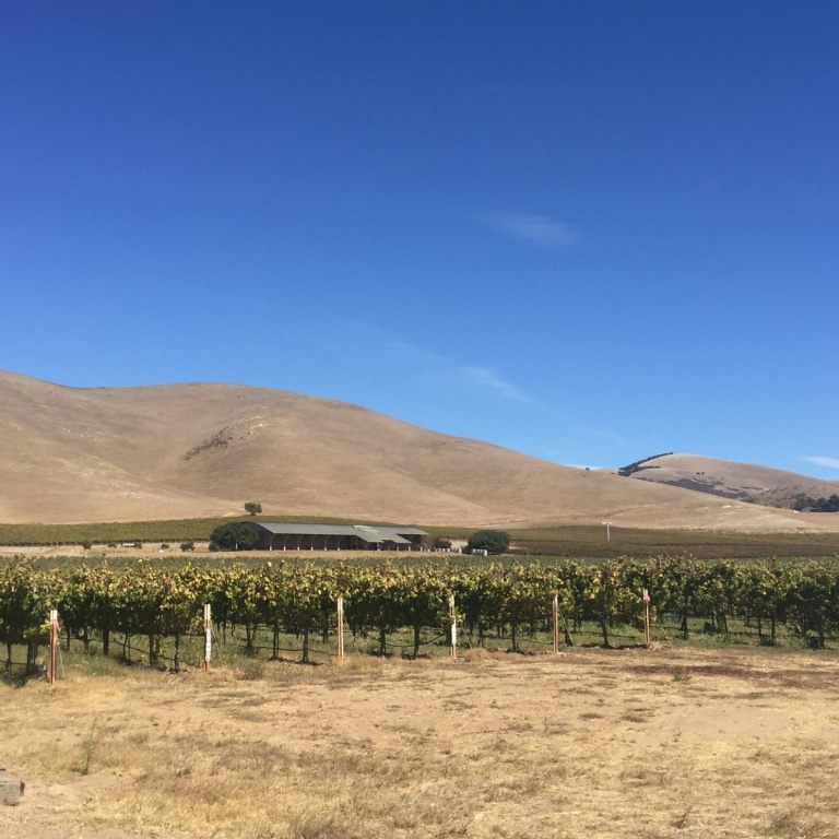 Winery Tour with Byron Winemaker Jonathan Nagy