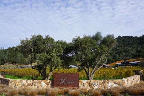 Top 10 Napa Wineries