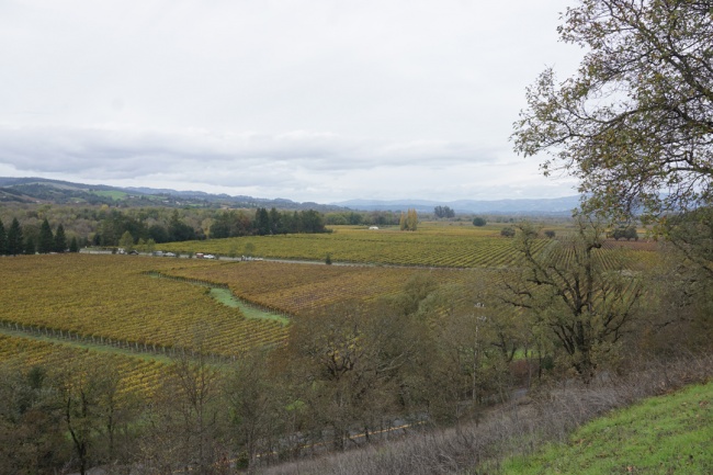 Copain Winery A Wine Country Dream I'm In Love With