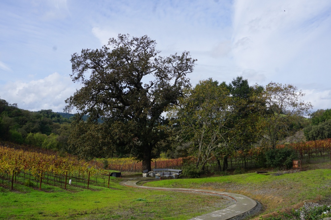 Copain Winery A Wine Country Dream I'm In Love With