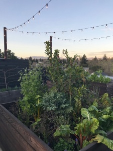 SingleThread Farm Restaurant & Inn in Healdsburg California