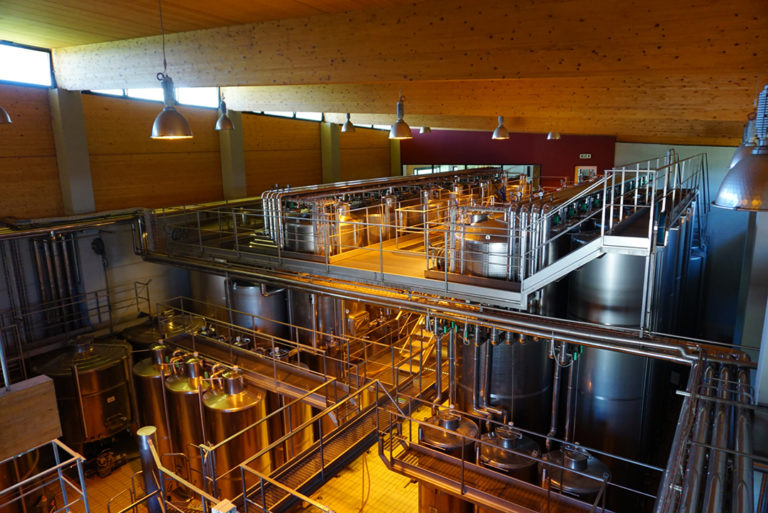 A Virtual Tour of The Organic Barone Pizzini Winery