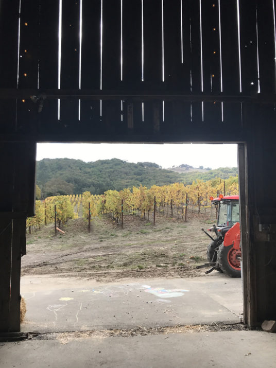 Belden Barns a Family Owned Sonoma Gem I Adore