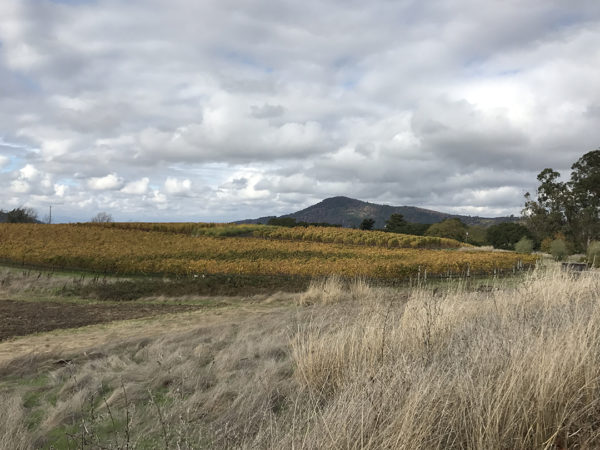 Belden Barns a Family Owned Sonoma Gem I Adore