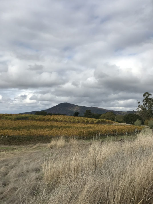 Belden Barns a Family Owned Sonoma Gem I Adore