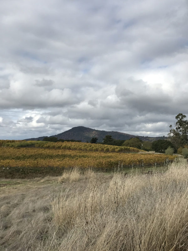 Belden Barns a Family Owned Sonoma Gem I Adore