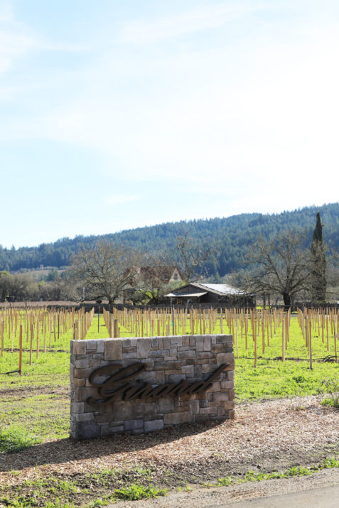 My Guide To The Must See Calistoga Wineries in California