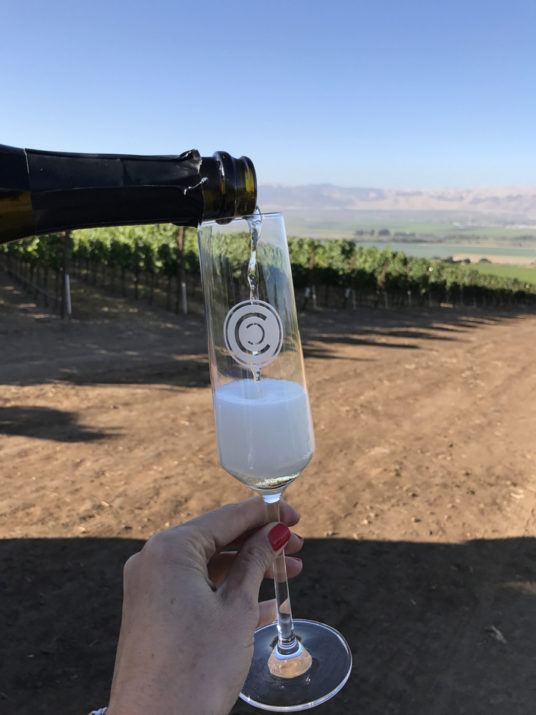 Santa Lucia Highlands Caraccioli Cellars Vineyard Tour & Dinner