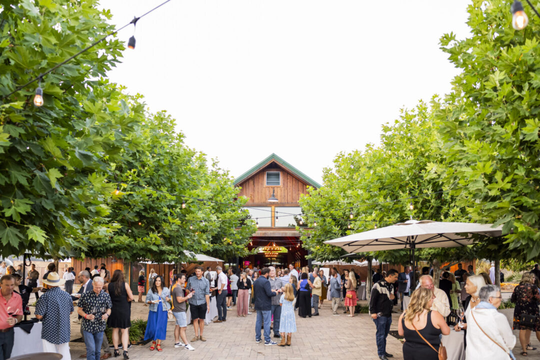 Project Zin 2023 | The JetSetting Fashionista