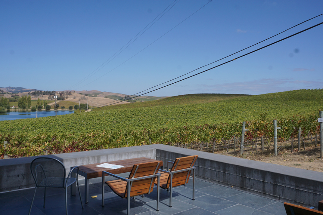 Top 10 Wineries in Carneros | The JetSetting Fashionista