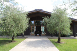 Architecturally Stunning Wineries