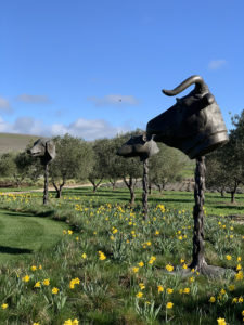 The Most Spectacular California Vineyards I've Visited