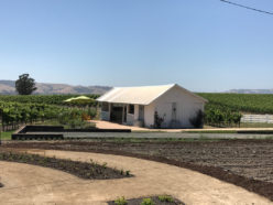 The Donum Estate Winery, The Most Spectacular Art & Wine Experience