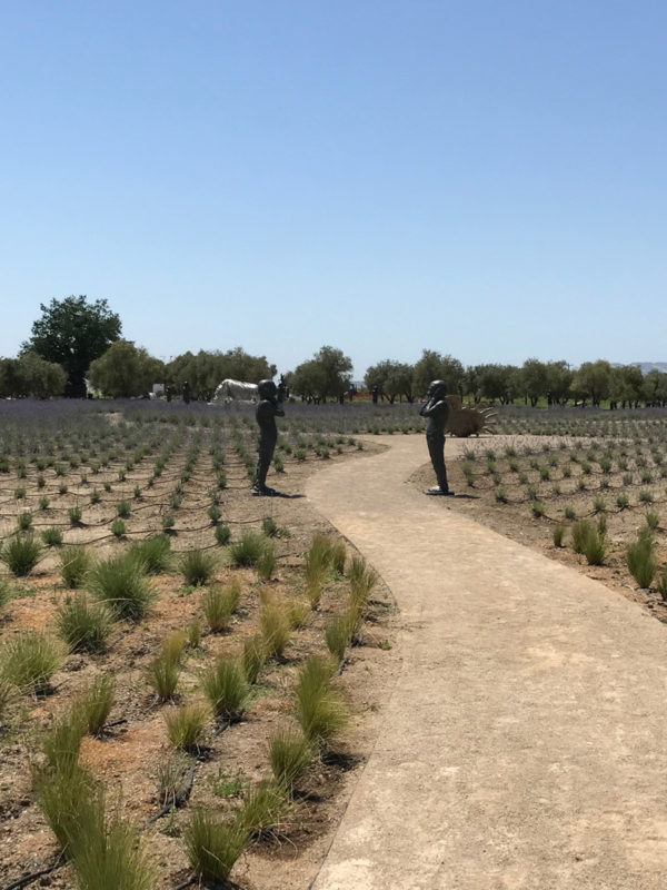 The Donum Estate Winery | The JetSetting Fashionista