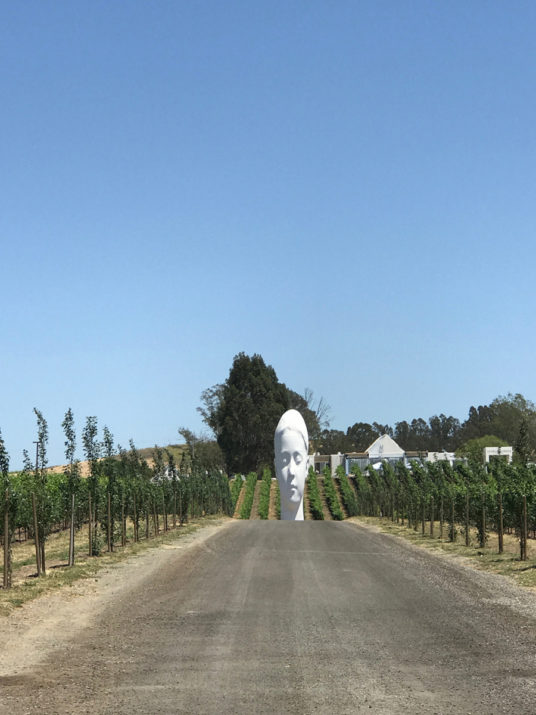 The Donum Estate Winery, The Most Spectacular Art & Wine Experience