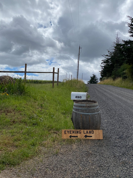Evening Land Vineyards