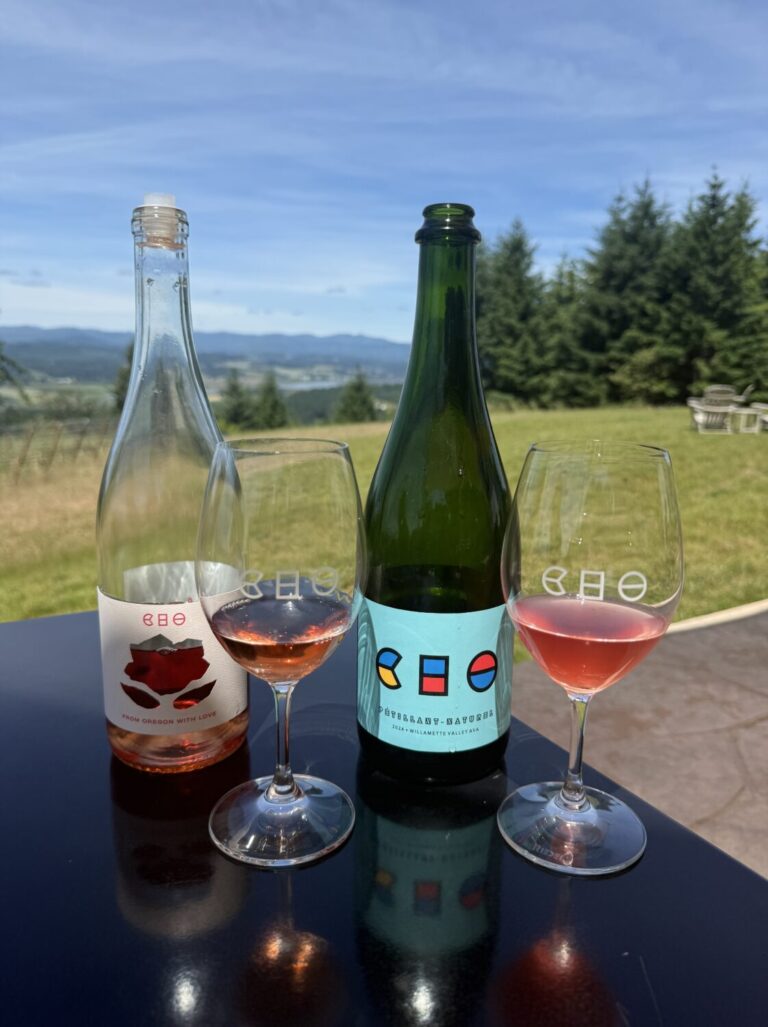 The Top 10 Willamette Valley Wineries Oregon You Must Experience