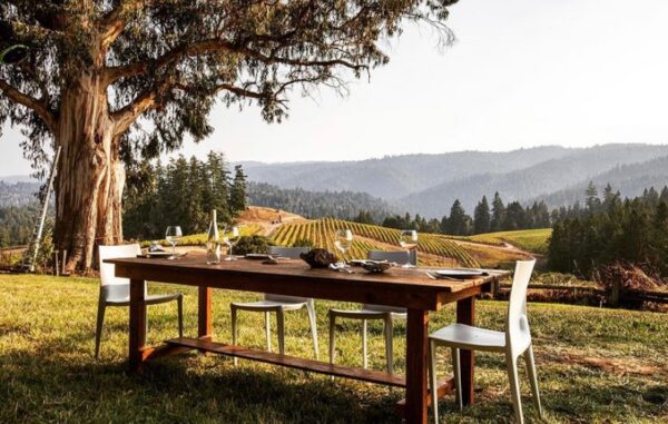 Peay Vineyards A Spectacular Sonoma Coast Winery