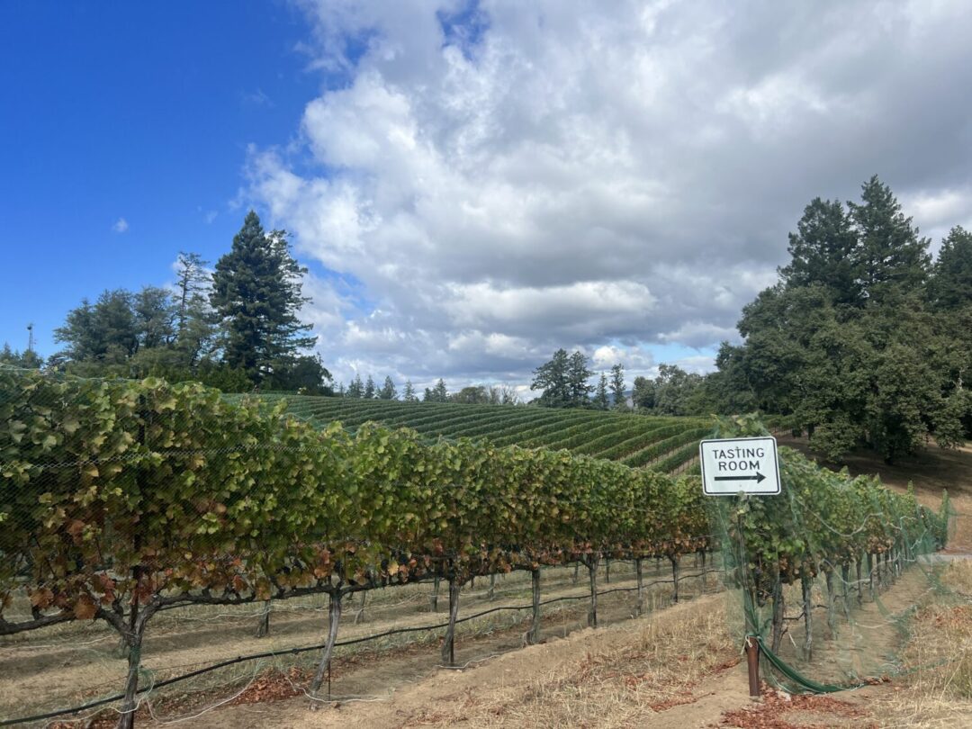 Visit Fort Ross Vineyard & Winery | The JetSetting Fashionista