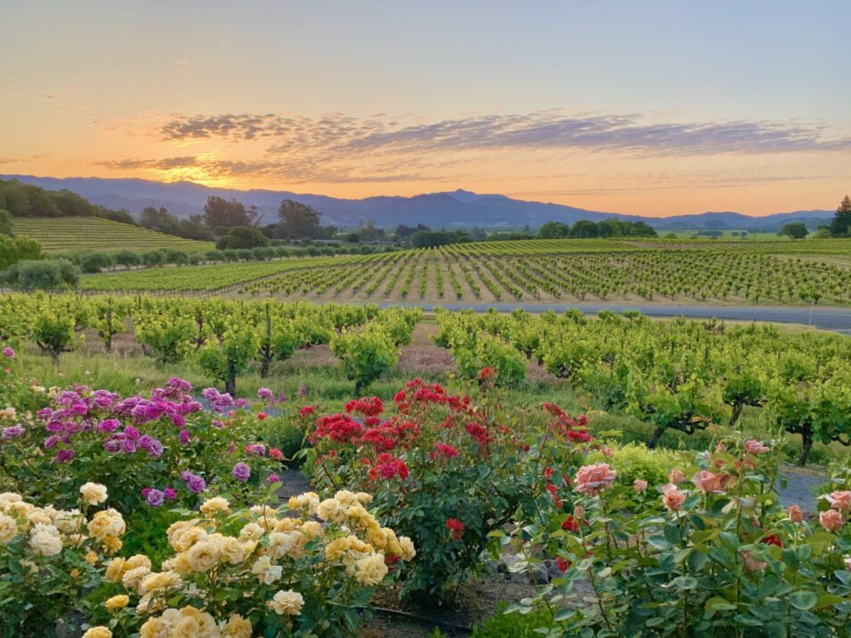 Best Sonoma Wineries for a Bachelorette Party |The JetSetting Fashionista