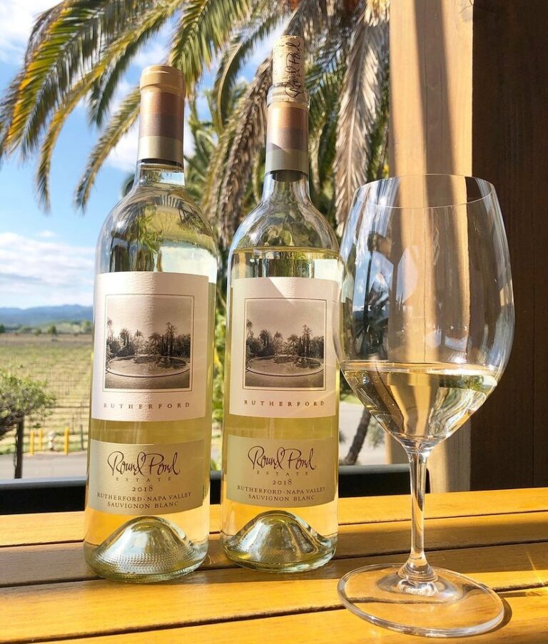 Top 10 Best California Sauvignon Blanc Wines I Adore