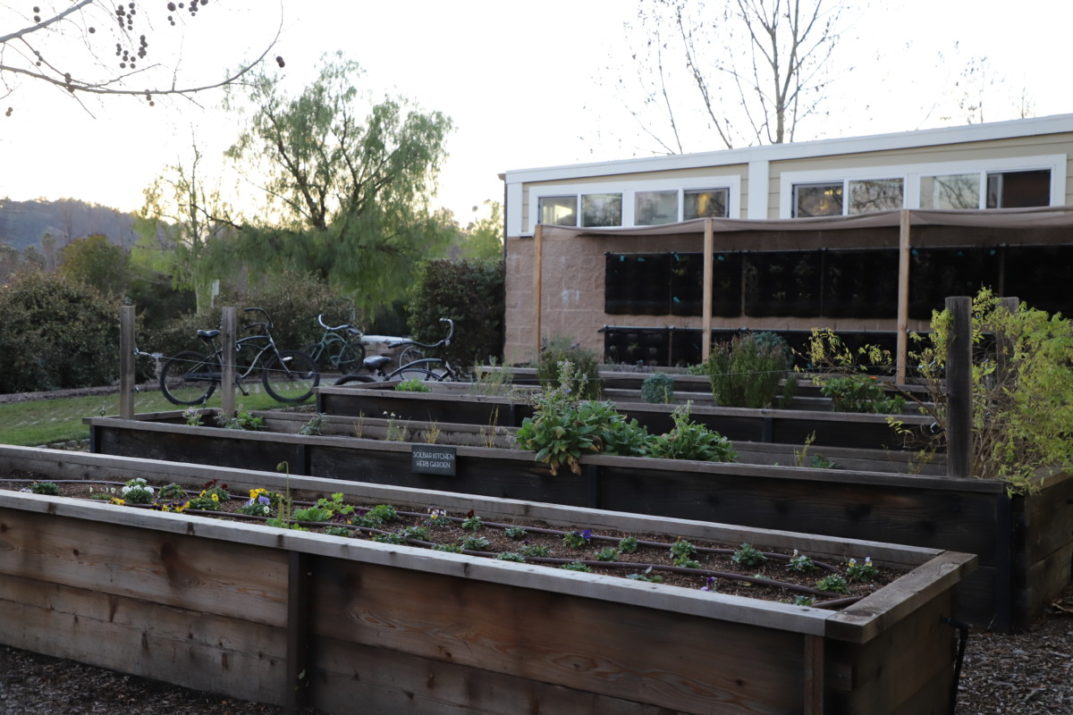 Solbar Restaurant at The Solage Resort Napa Valley