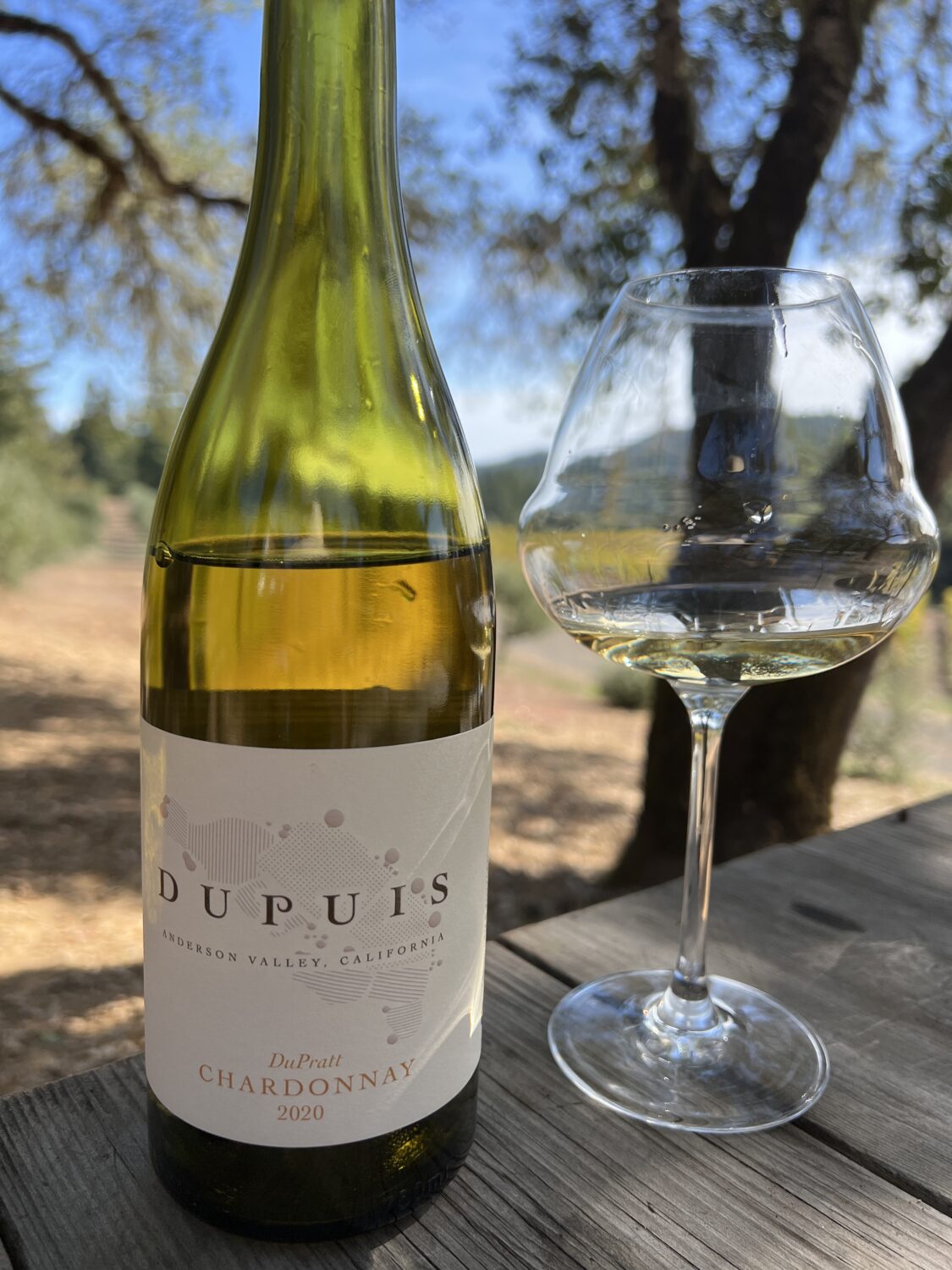 The Spectacular DuPuis Winery Vineyard | The JetSetting Fashionista