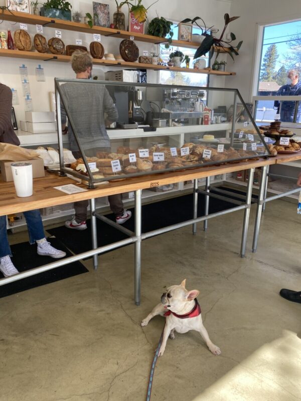 Quail & Condor A New Healdsburg Bakery I Adore You Must Enjoy