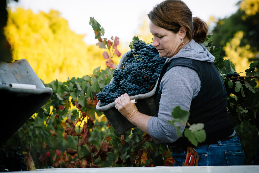 The JetSetting Fashionista | Healdsburg, Healdsburg Where To Drink ...