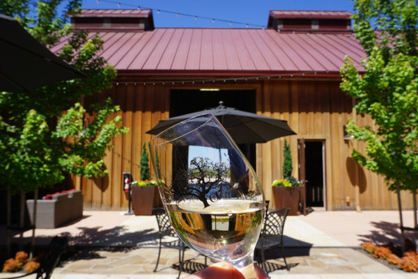 Lodi Wineries That You Must Try