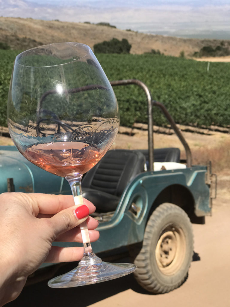 Wine Tasting with Winemaker Gary Pisoni at Pisoni Vineyards