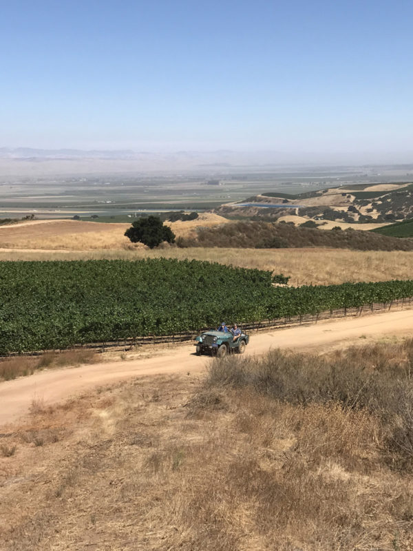 Wine Tasting with Winemaker Gary Pisoni at Pisoni Vineyards