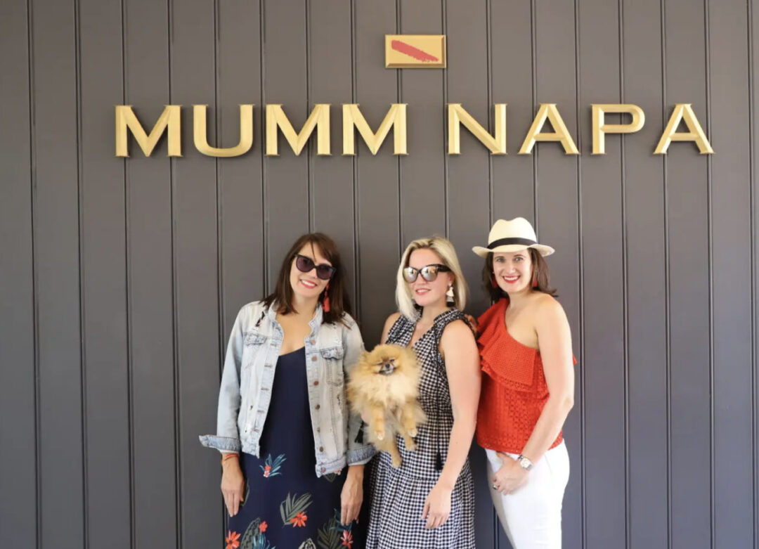 The Best Napa Kid-Friendly Wineries | The JetSetting Fashionista