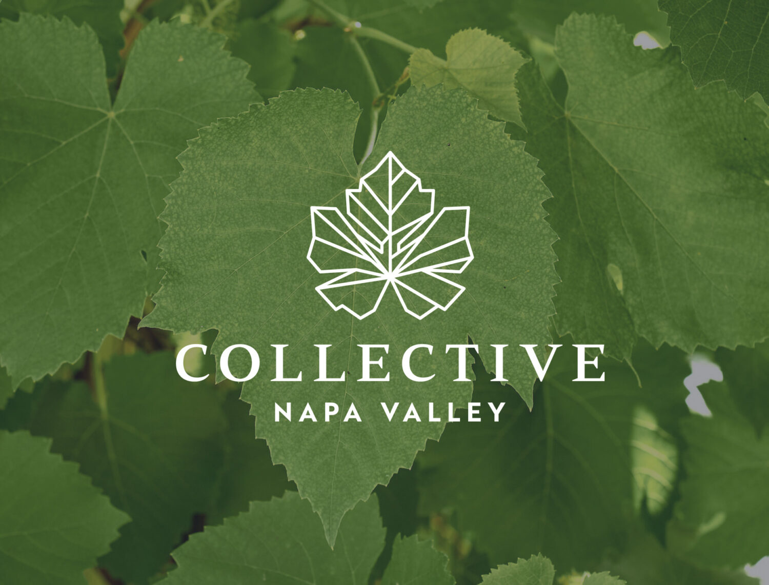 The JetSetting Fashionista | California Where To Drink, Featured, Napa California Wine Country ...