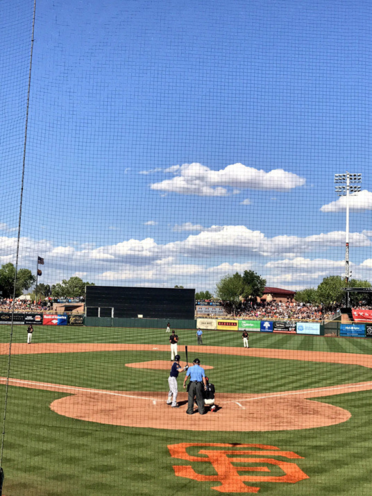 My Spring Training Adventure with Toyota