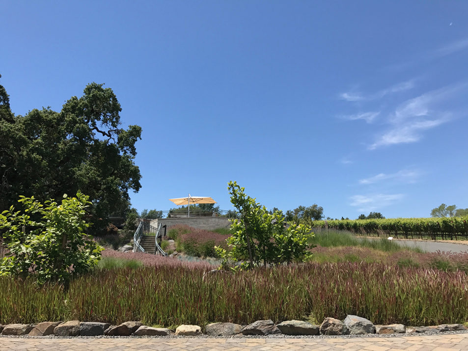Williams Selyem Winery
