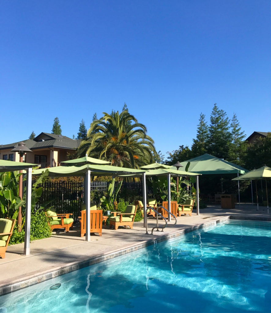 Lodi Wineries That You Must Try