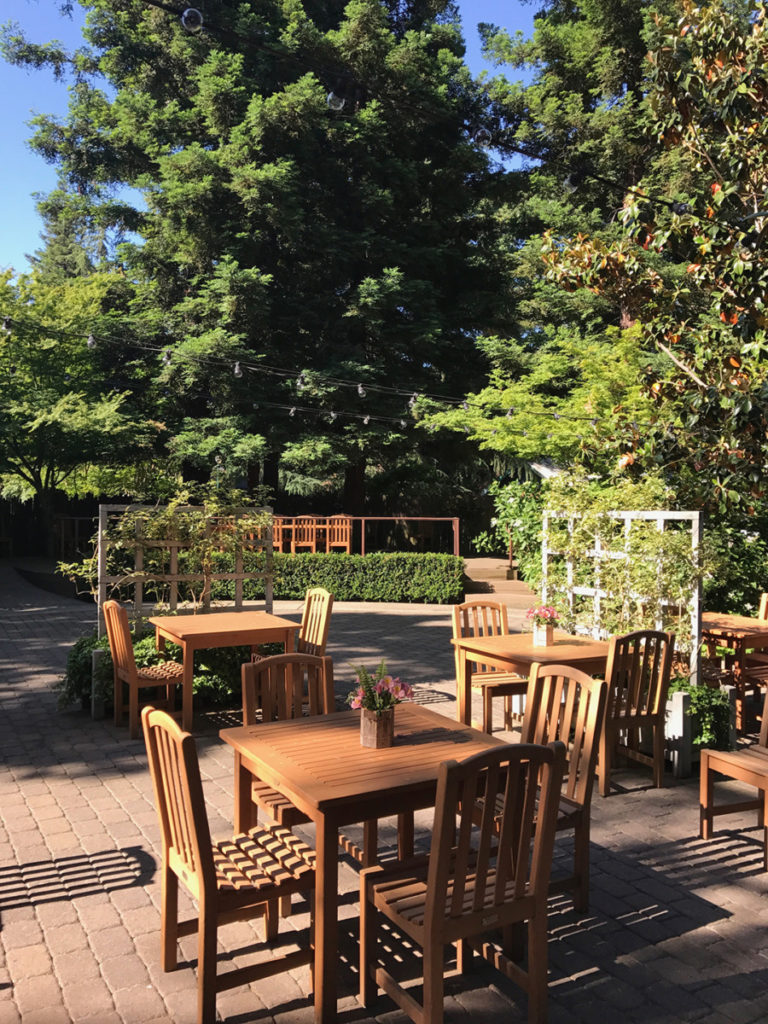 Lodi Wineries That You Must Try