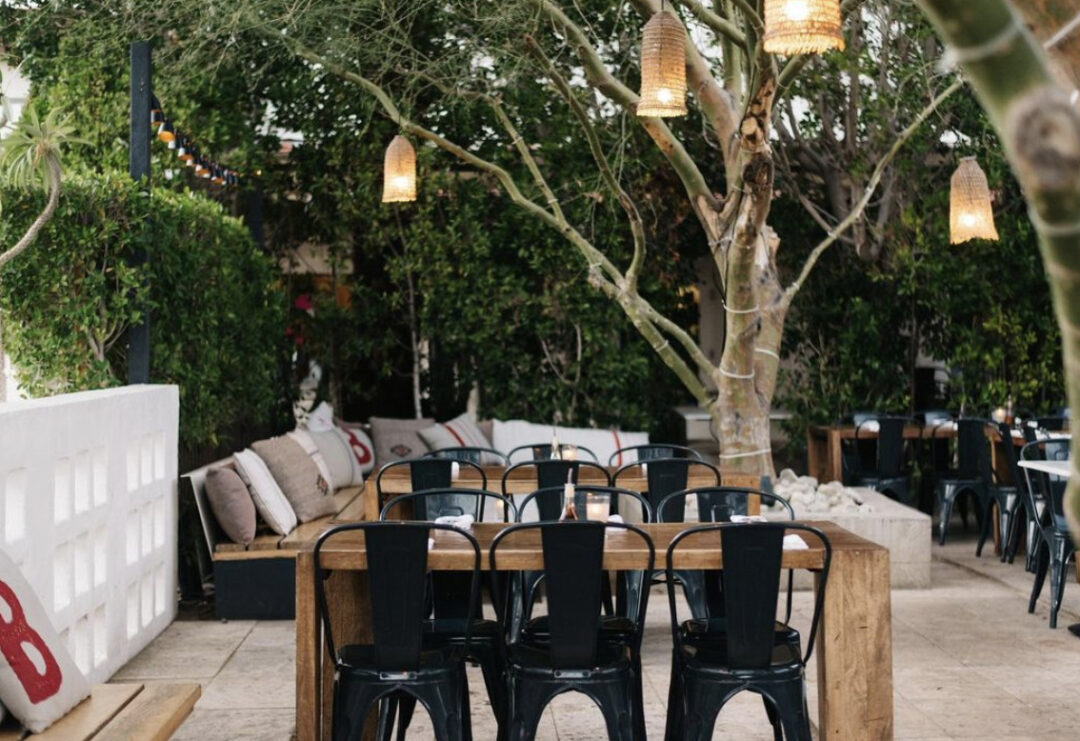 The Best Wine Bars in San Francisco You Must Experience